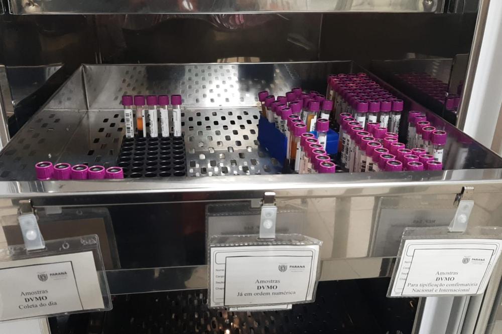 Solidariedade: Paraná tem o 3º maior cadastro de doadores de medula ...